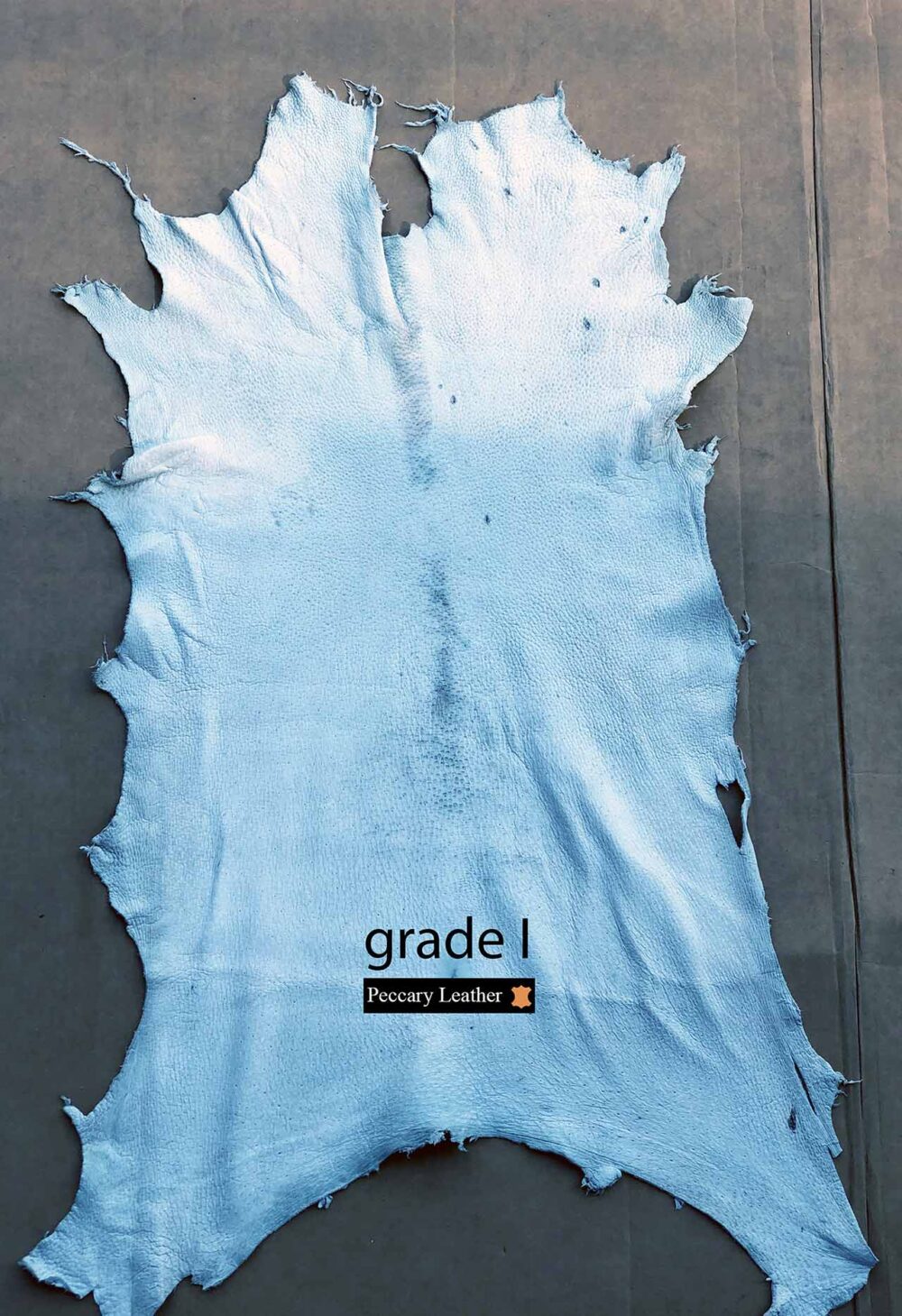 Peccary Leather | Peccary Leather