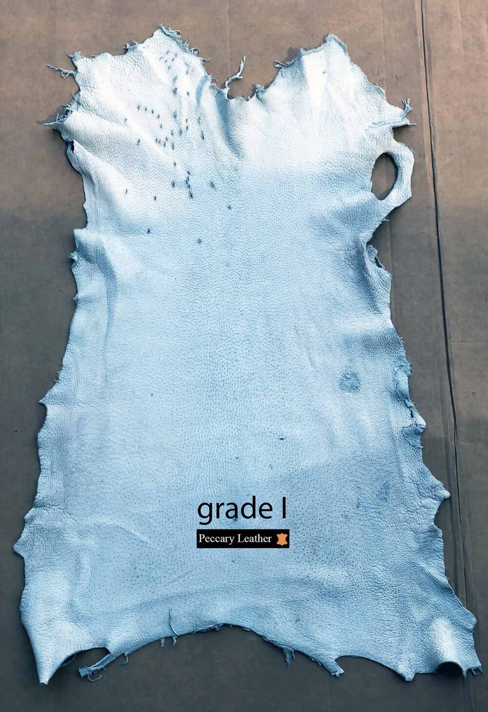 Peccary Leather | Peccary Leather