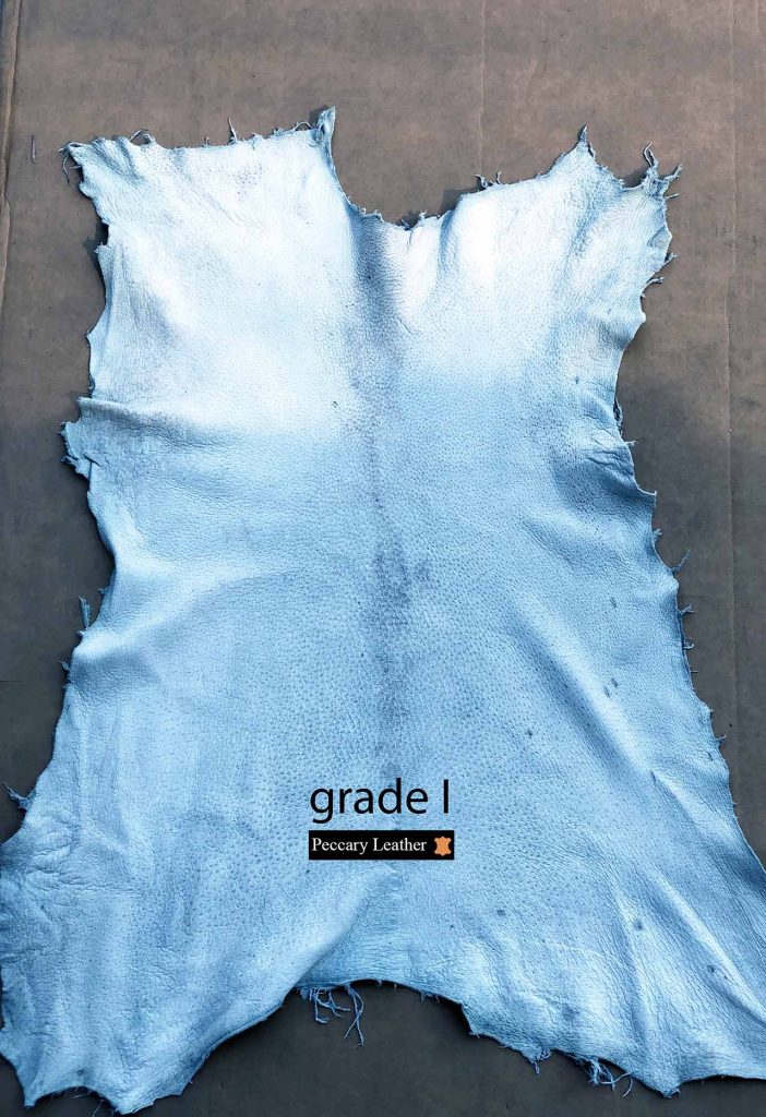 Peccary Leather | Peccary Leather