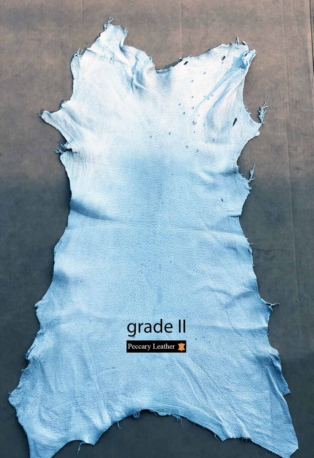 Peccary Leather | Peccary Leather