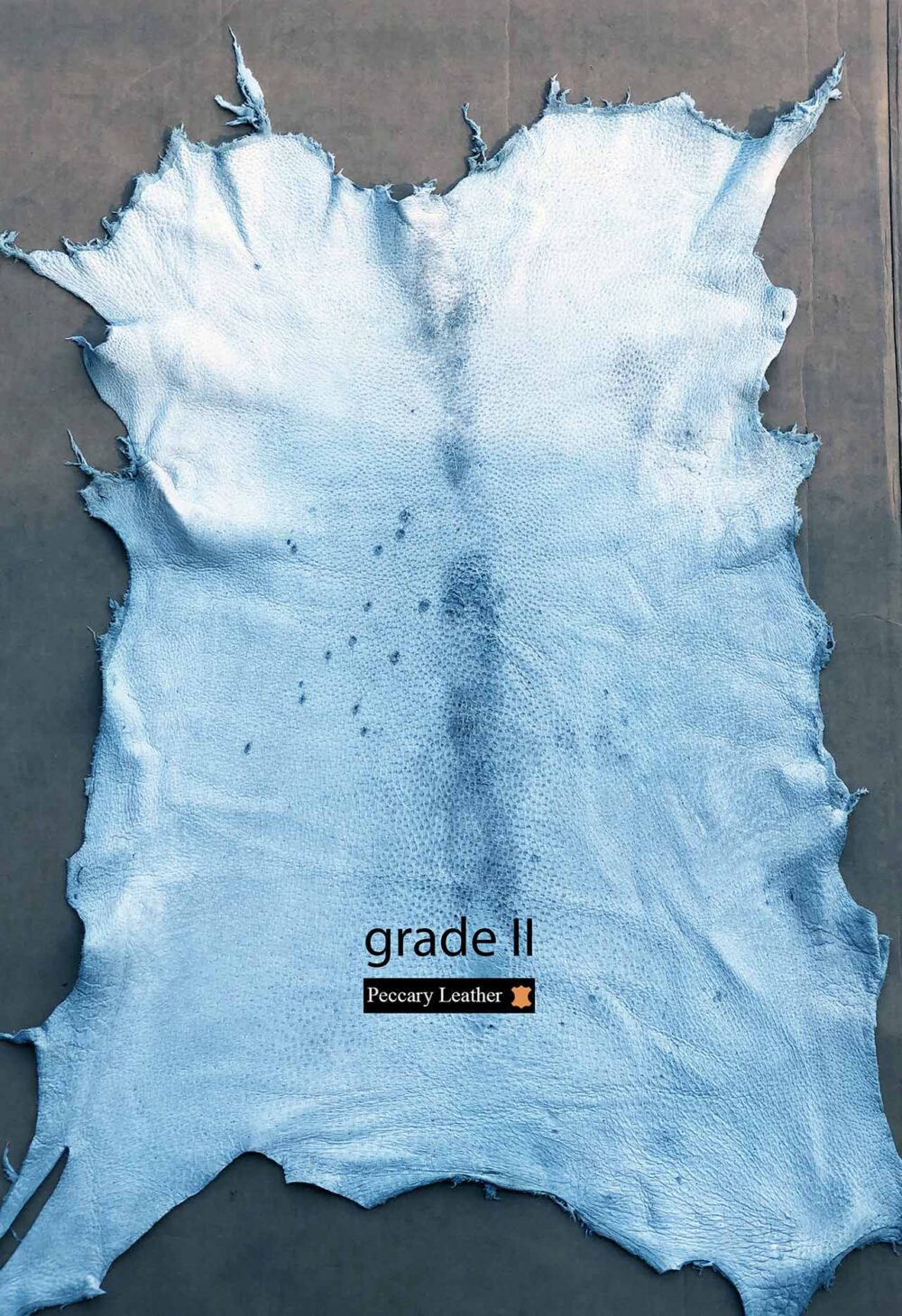 Peccary Leather | Peccary Leather