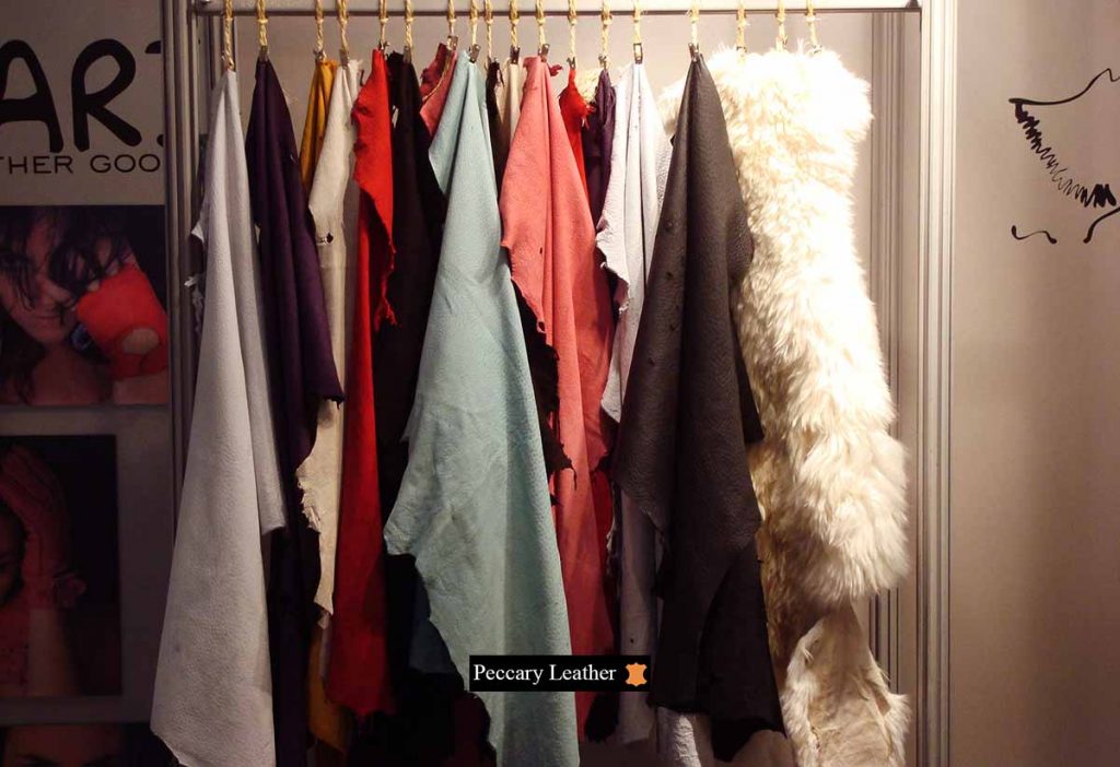 Our company | Peccary Leather