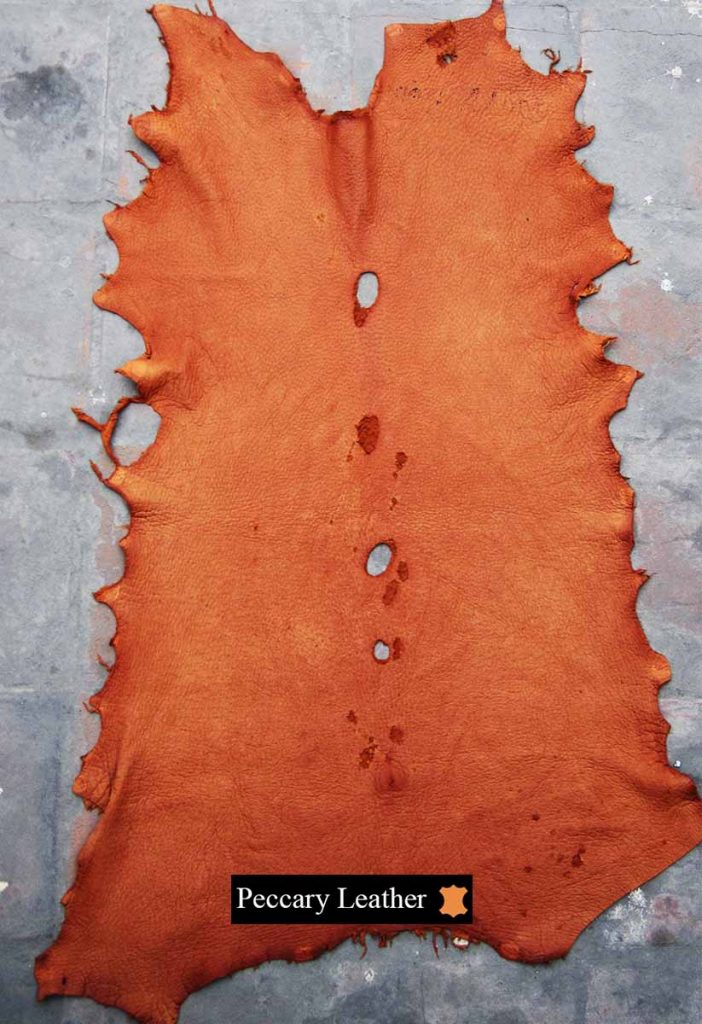Our Process | Peccary Leather
