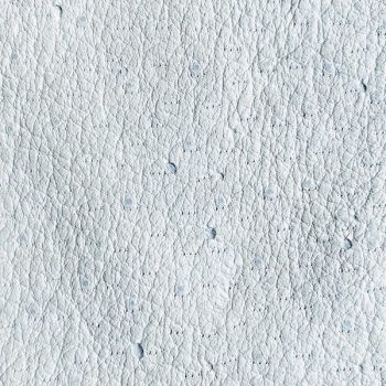 Types of Skin Defects | Peccary Leather