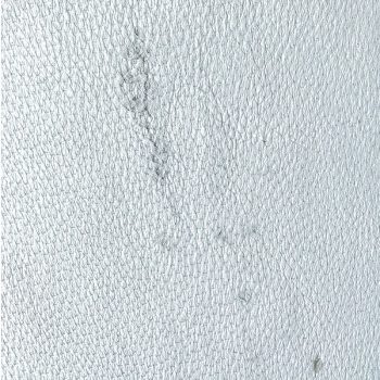 Types of Skin Defects | Peccary Leather